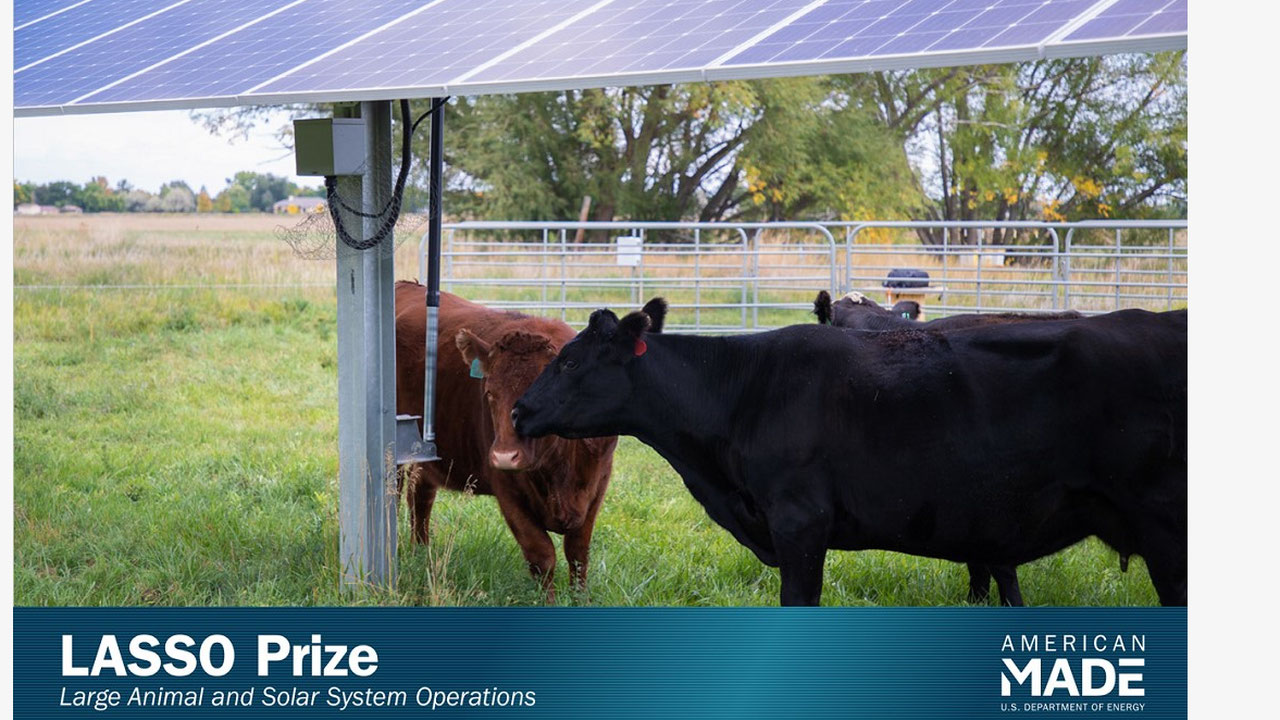 Large Animal and Solar System Operations (LASSO) Prize | HeroX